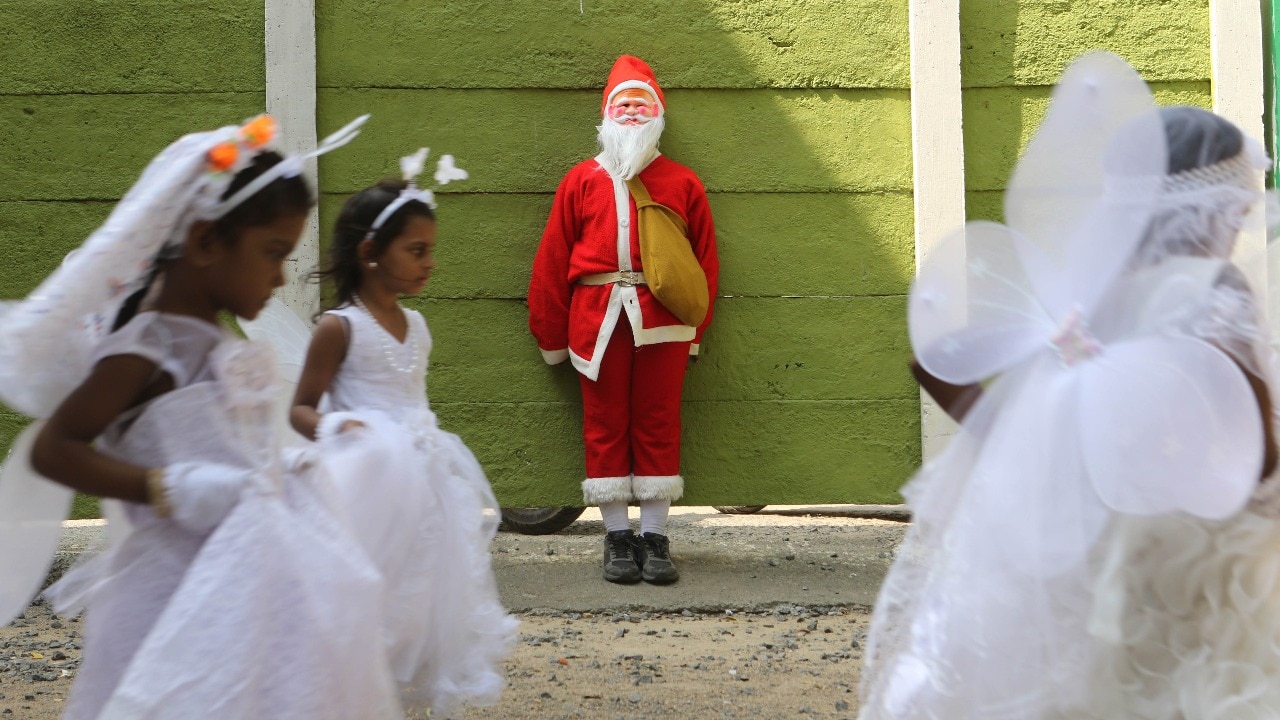 How climate change is quietly hitting Christmas cheer