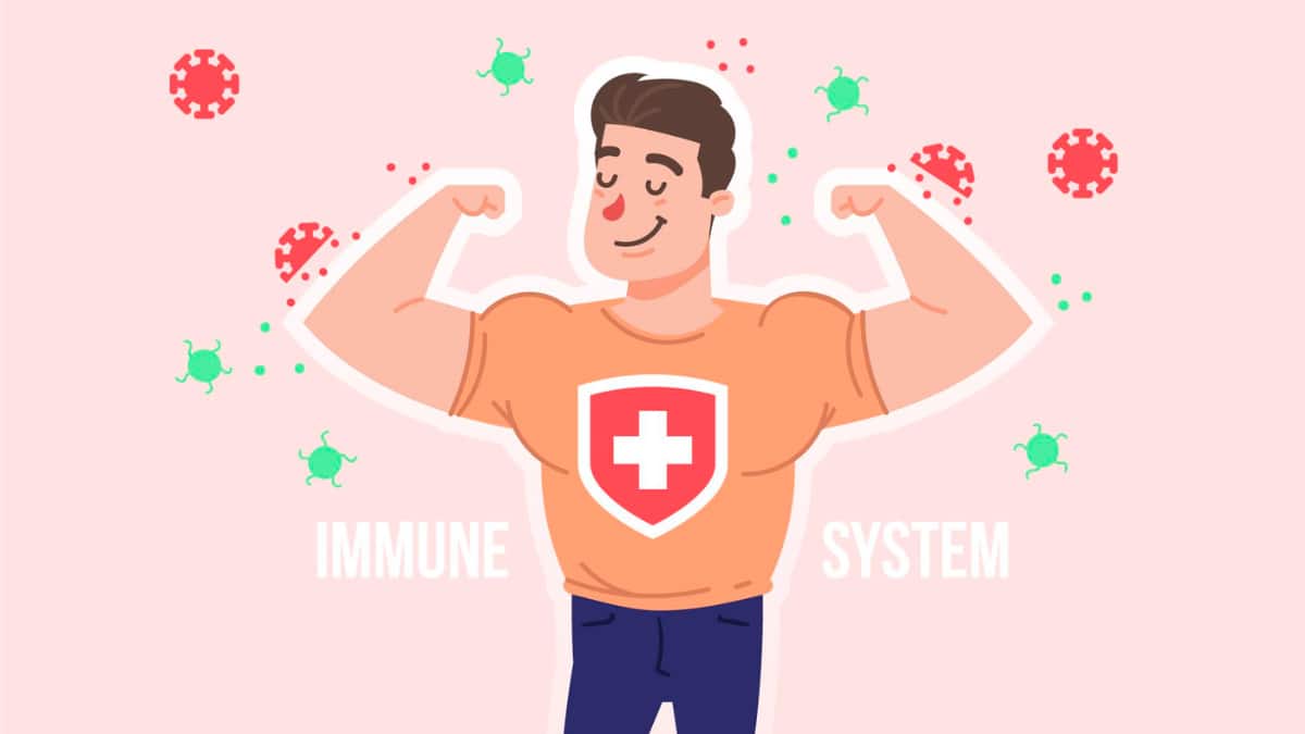 The everyday immunity formula: 6 daily habits to strengthen your immune ...