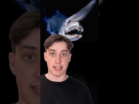 Unusual and intimidating animals you may never have known