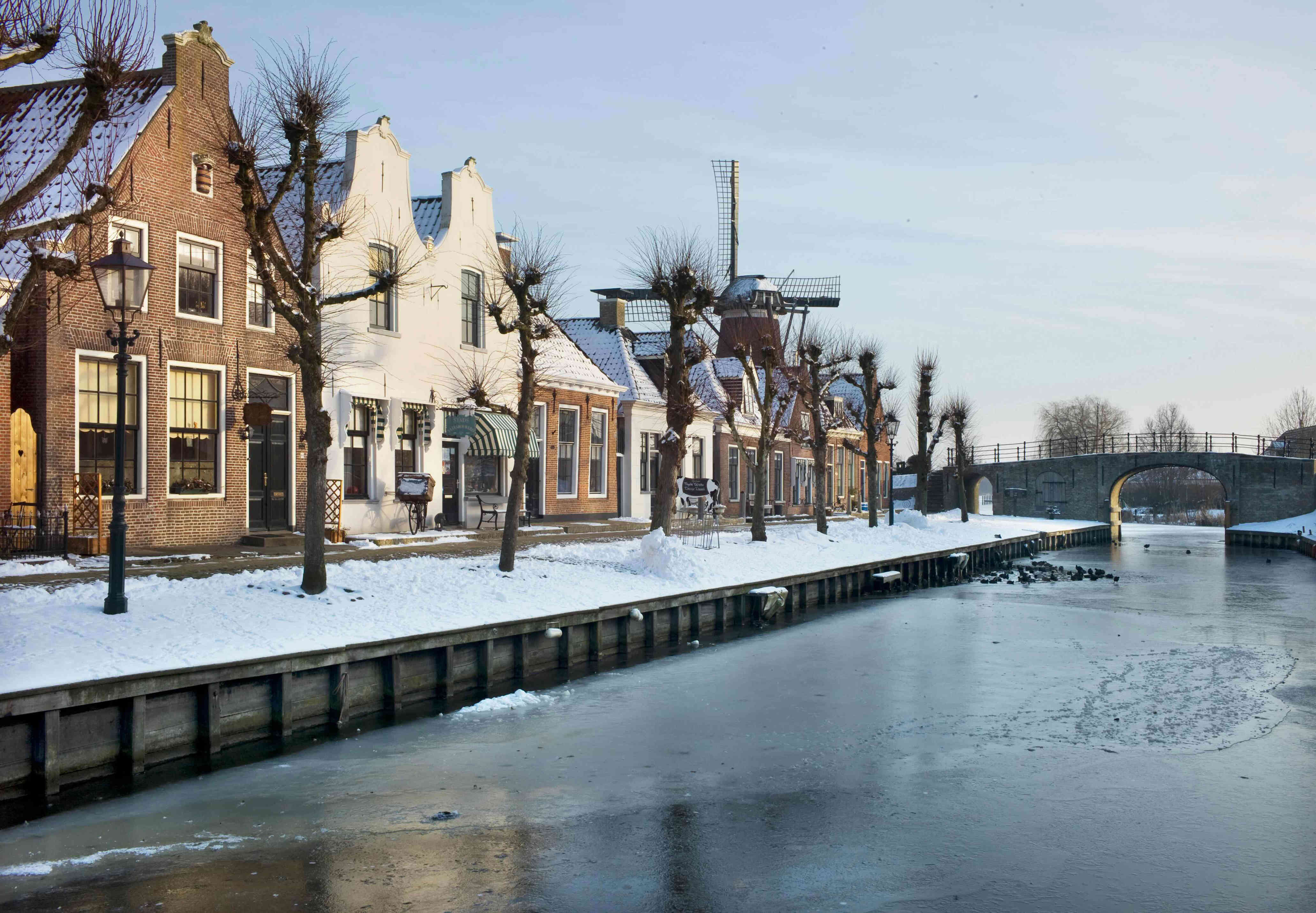 Friese nuchterheid voor onder de kerstboom: 7 leuke spreuken voor de ...