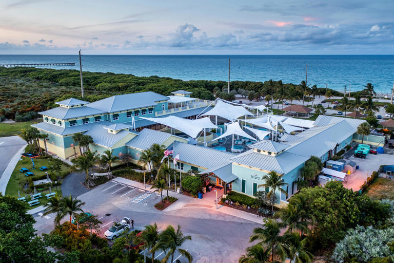 3 to see: Loggerhead Center visit; Noon Year's Eve, 'The Seafarer' play