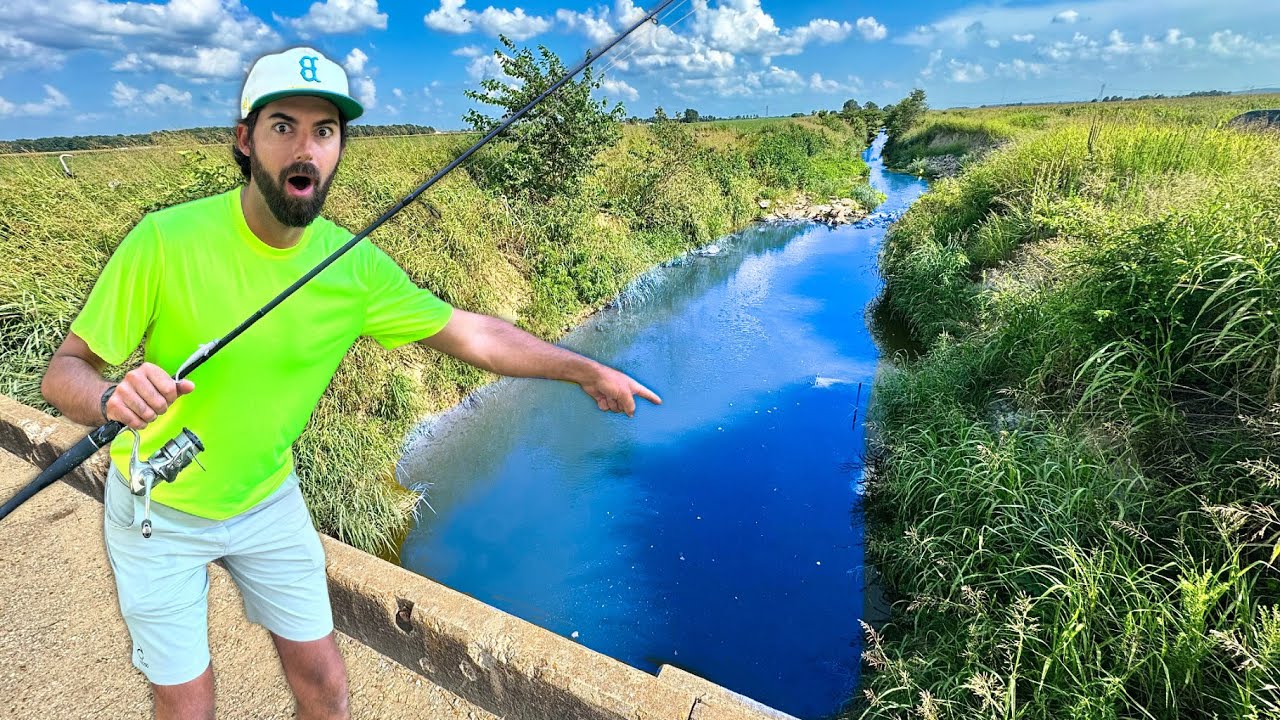 Crystal clear roadside ditch filled with massive ditch pickles