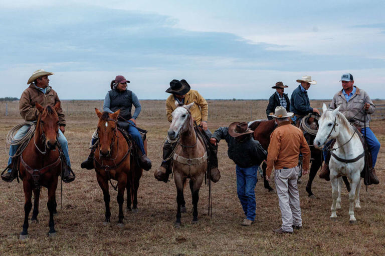 How a rancher and a nonprofit teamed up to protect 6,600 acres of Texas ...