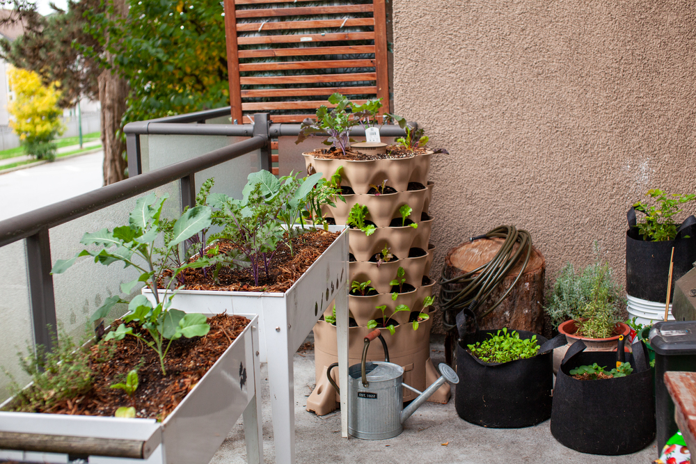 Small space garden ideas for urban homes