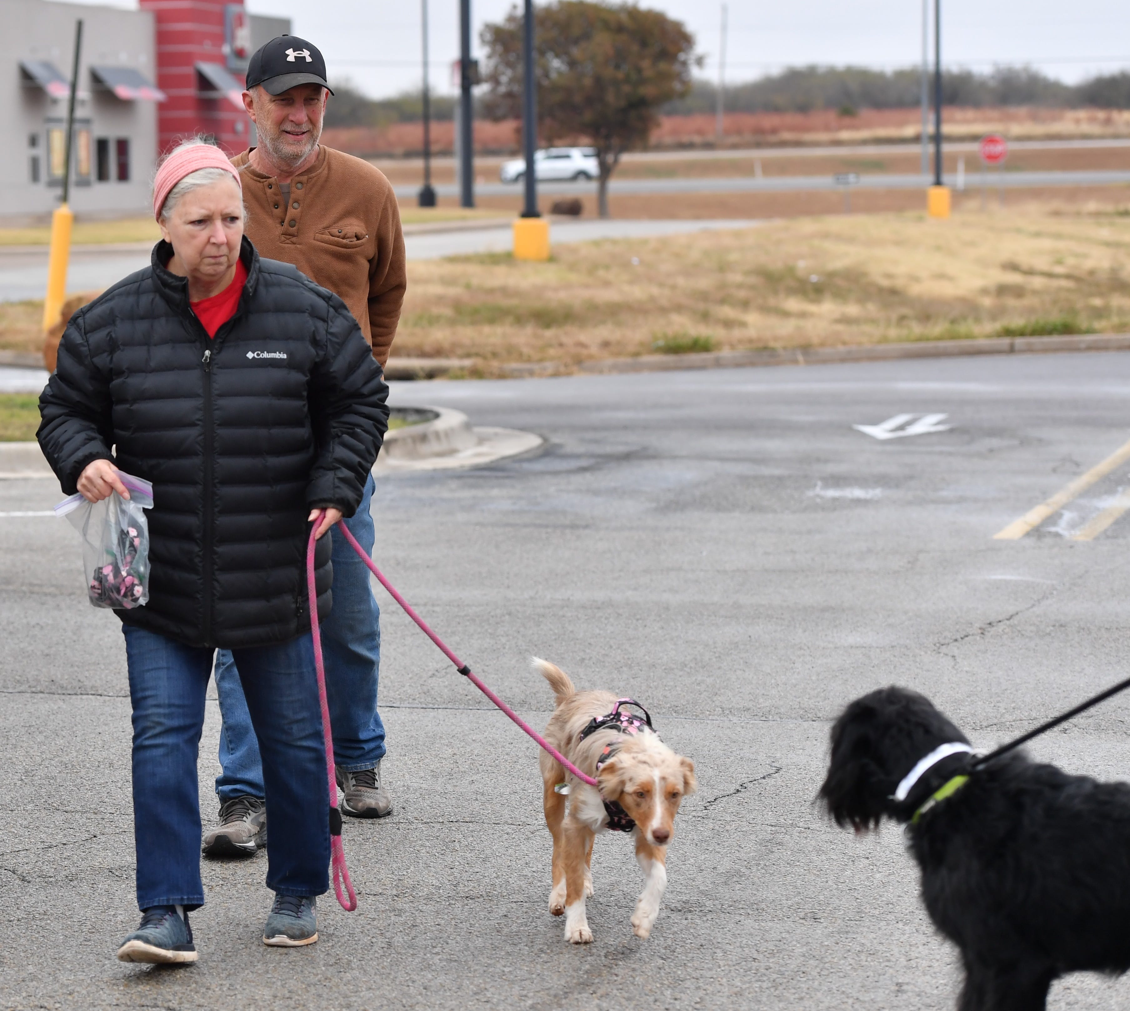 PETS Underdog Express gives dogs a second chance at forever homes