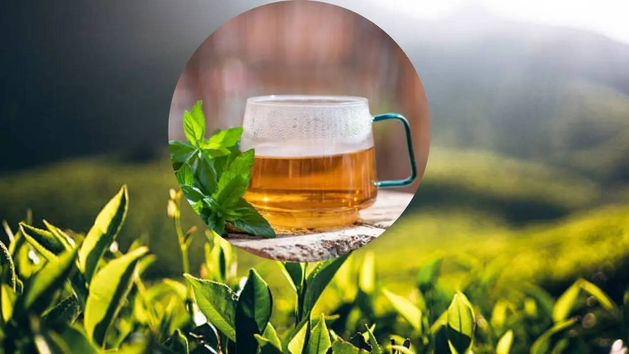 Why Fssai Says Only Camellia Sinensis Is ‘real Tea And What It Means