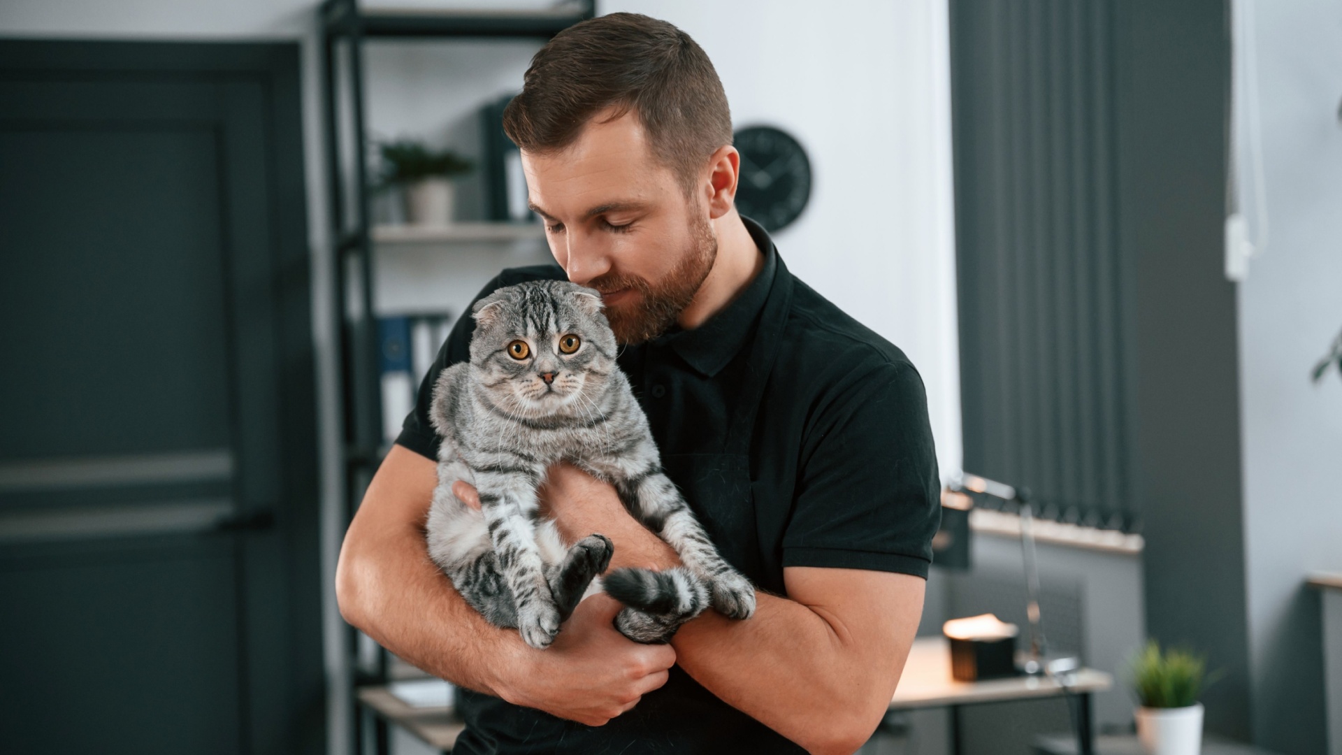 The 8 loyal cat breeds that will keep you company during the apocalypse