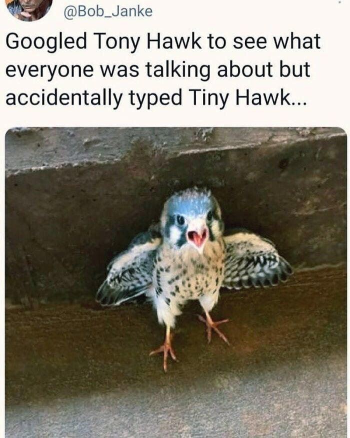 42 of the most wholesome posts from this Instagram account to fill you ...