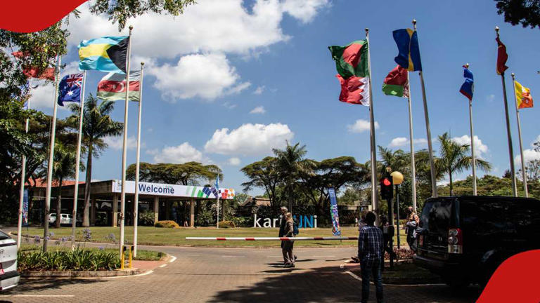 United Nations posts 35 job vacancies in Nairobi, with December ...