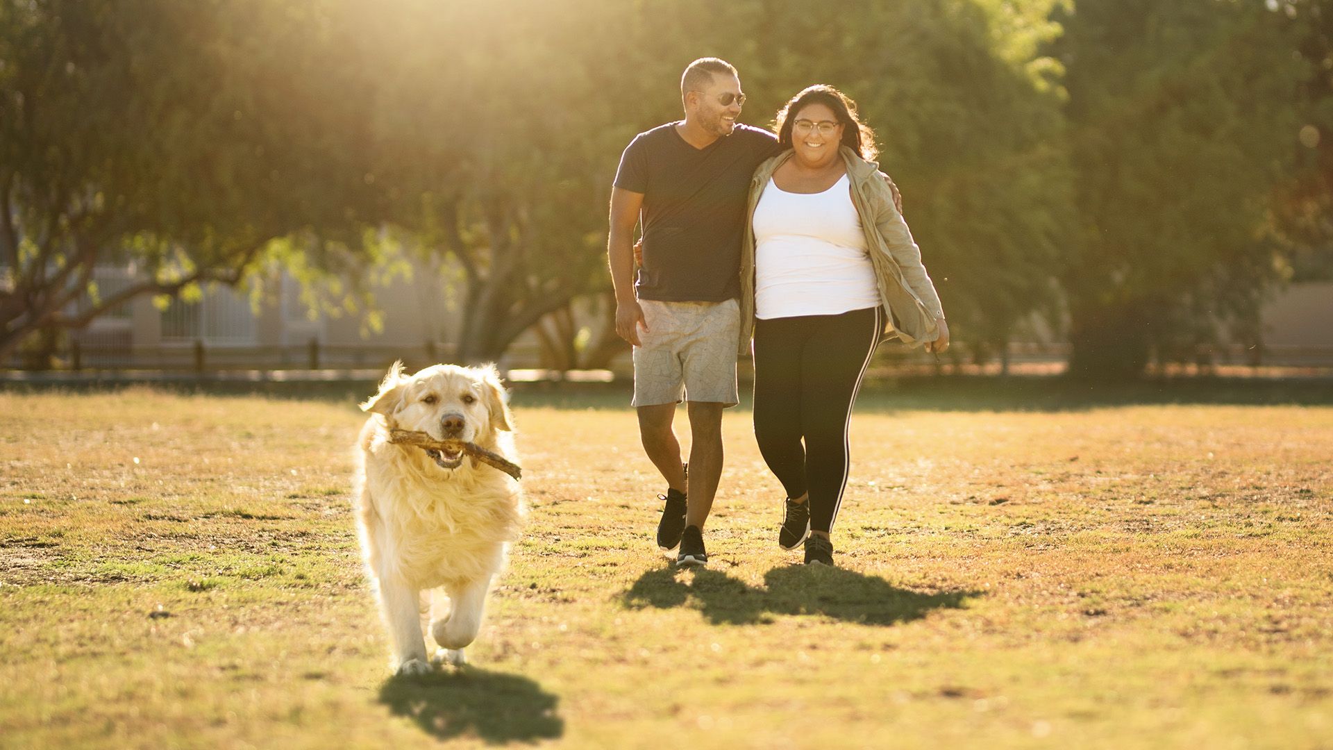 Tips for better dog walks
