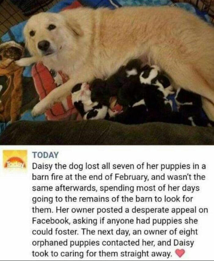 42 of the most wholesome posts from this Instagram account to fill you ...