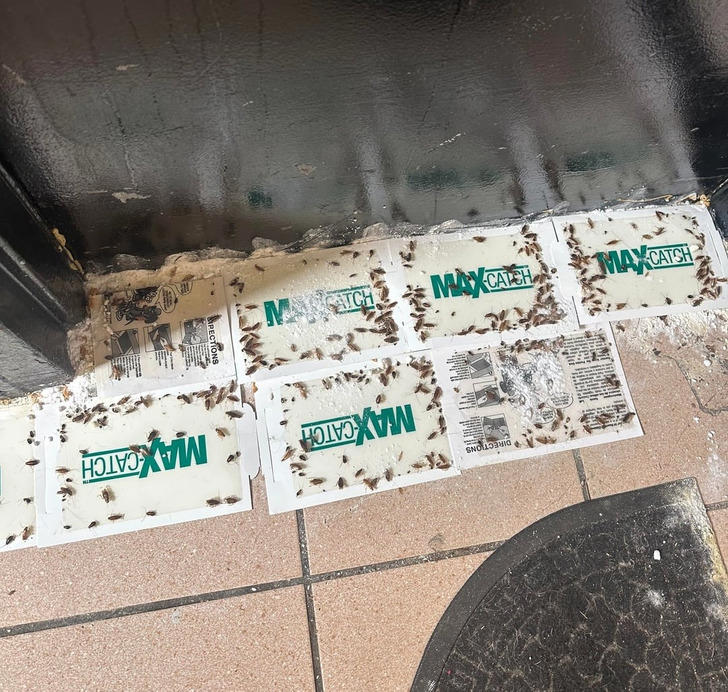 18 stories that prove living in an apartment is like having a front-row ...