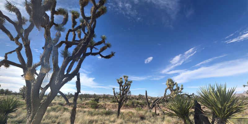 California’s desert railroad town that turned into an artist’s hideout