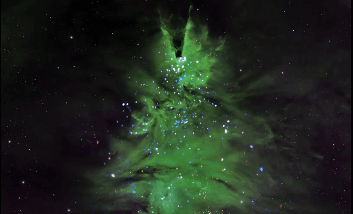 The Christmas Tree Cluster is lighting up the sky tonight, here’s how ...