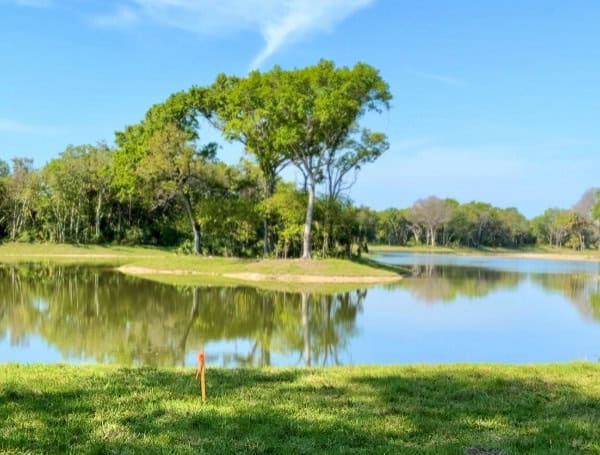 Sunny Christmas, shivering New Year? Tampa’s warm holiday week ends ...