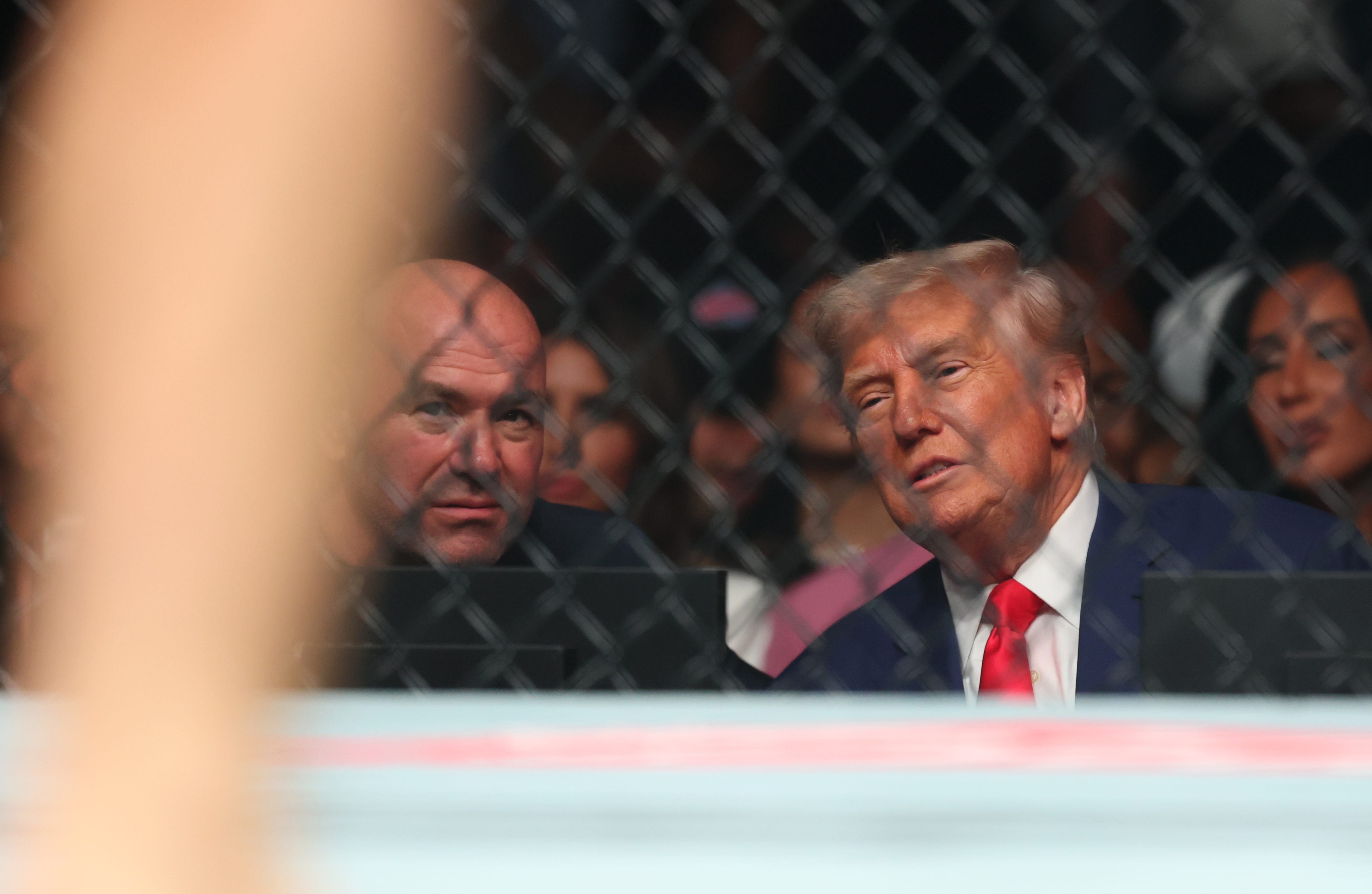 Who is fighting on the UFC White House card? Here's what we know