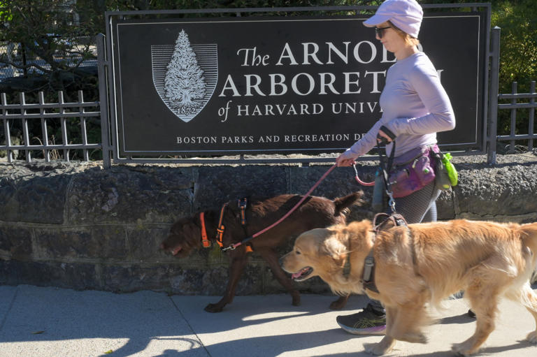 My 27 favorite places I visited in Massachusetts this year