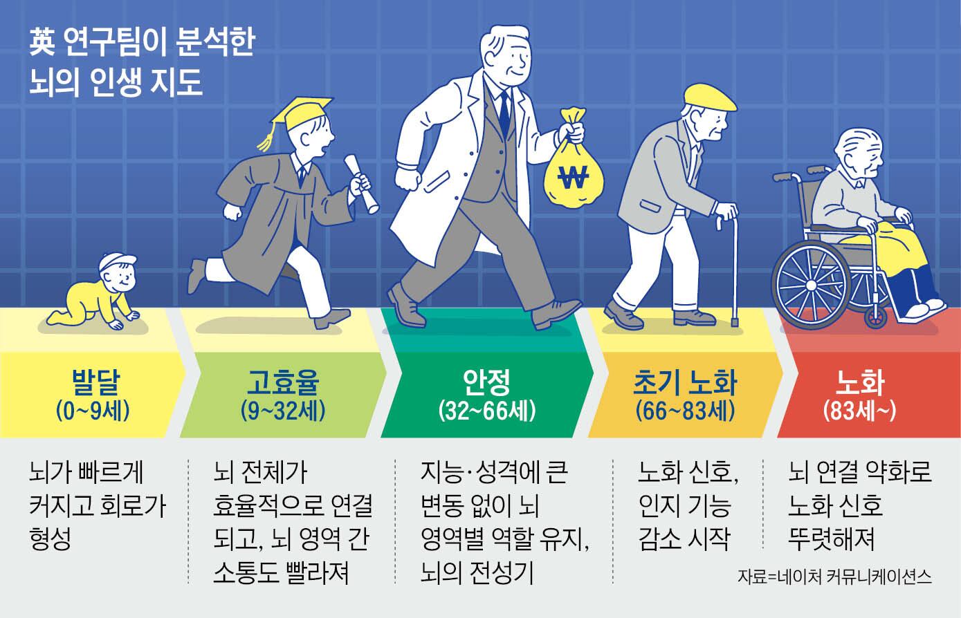 9세·32세·66세·83세… 뇌는 네번 급변한다