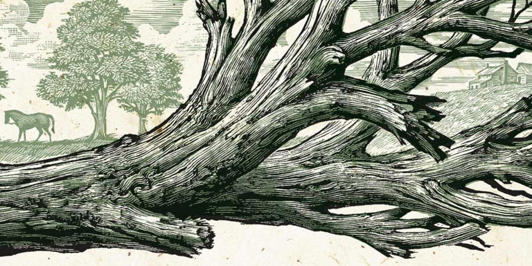 Upcoming show based on Nobel-winning author’s book makes 1 crucial ...