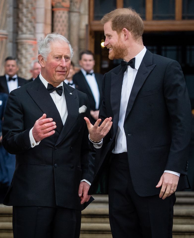 Meghan Markle shares new details about how she and Prince Harry are ...