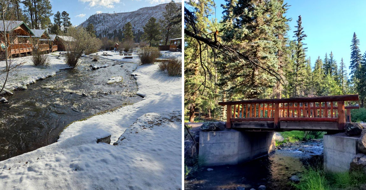A cozy unincorporated community in Arizona tucked away in the pines