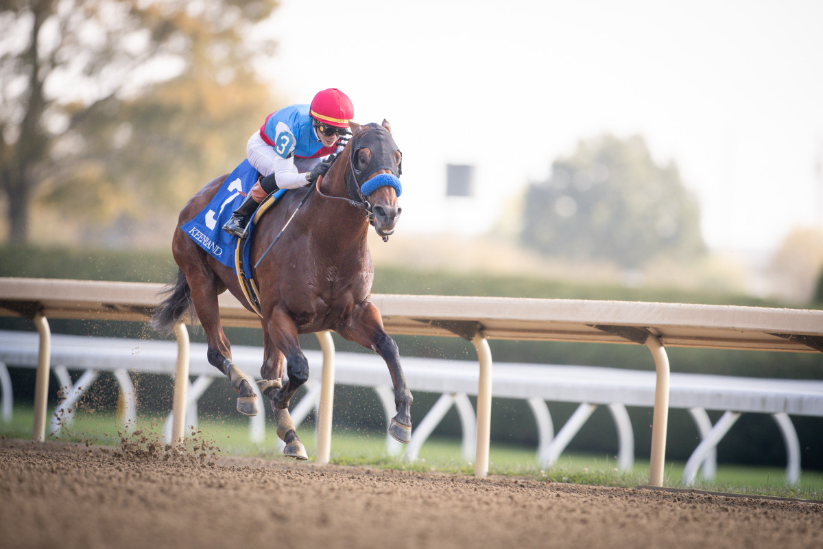 Equibase analysis: Barnes poised for big effort in Malibu