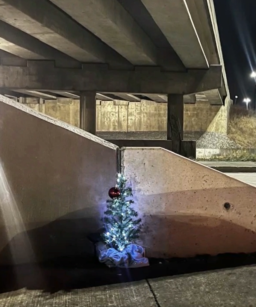 Beloved 'Charlie Brown Christmas' tree returns to Lititz Pike