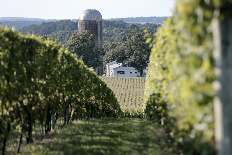 Wine clubs are on the rise in Philly. Here are some of the best.