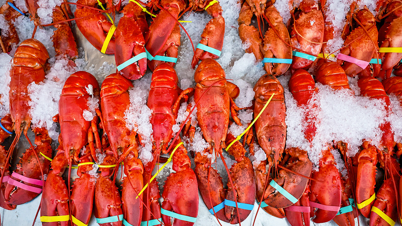$400k shipment of live lobsters hijacked en route to Midwest Costco ...