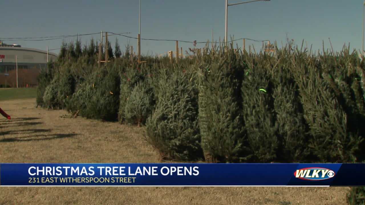 Where you can dispose of your Christmas tree in Louisville, southern ...