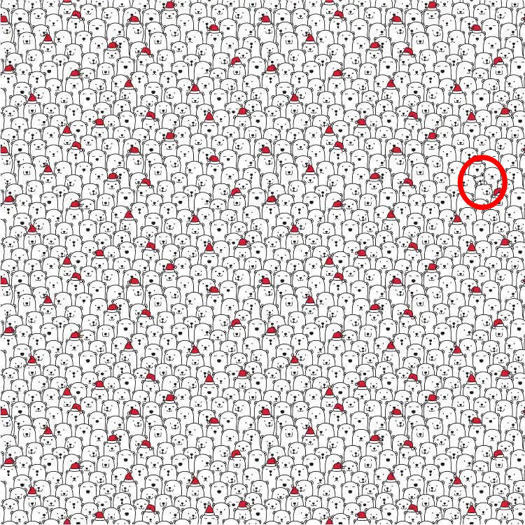 Visual illusion: Only eagle eyes can spot the dog among polar bears in ...