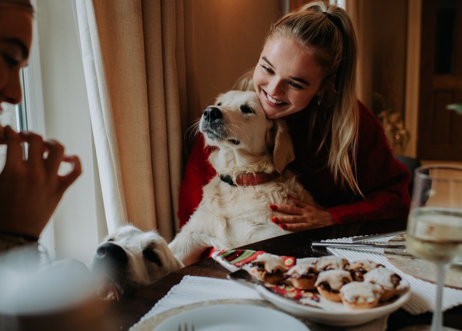 Common holiday foods that experts say are harmful to pets
