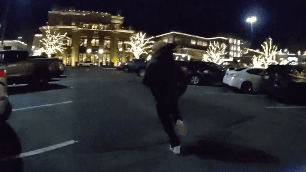 Seattle police bust attempted shoplifters at University Village in ...