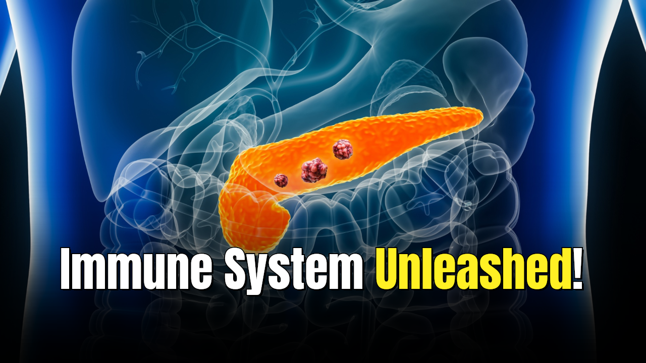 New antibody restores immune system to fight pancreatic cancer