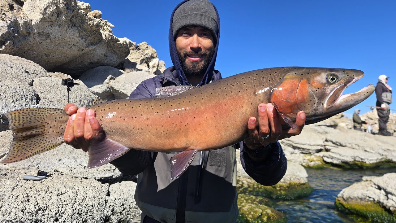Catching the largest cutthroat trout on Earth
