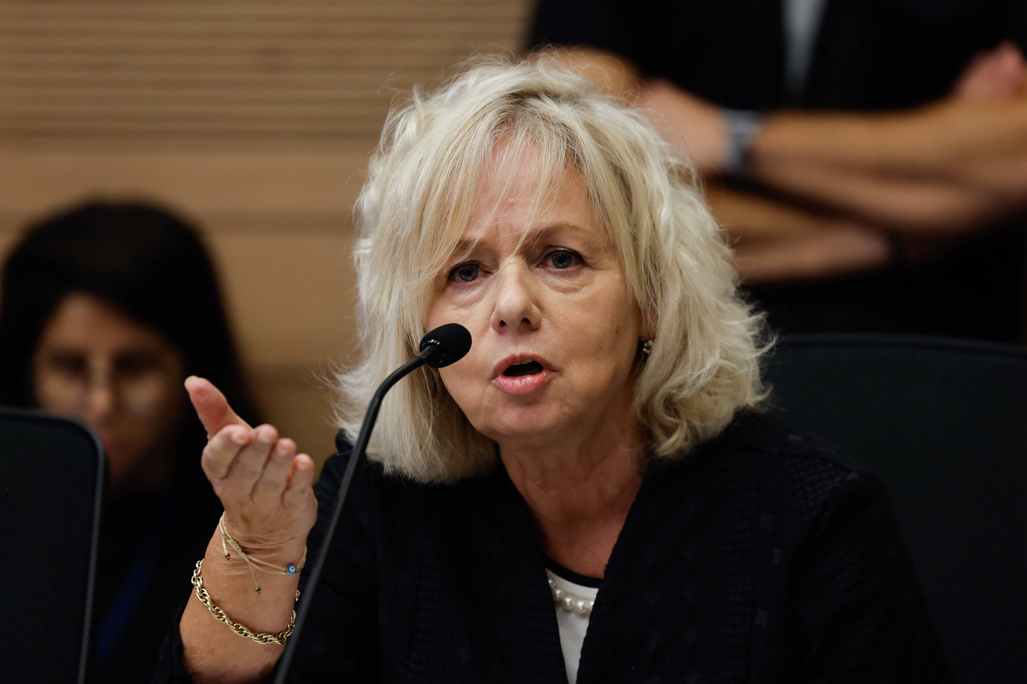 A-G warns against Knesset interference in criminal probes