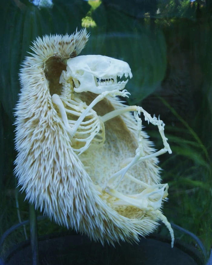 30 times nature made us say nope