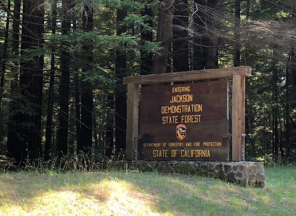 Illegal dumping forces closure of Jackson Demonstration State Forest ...