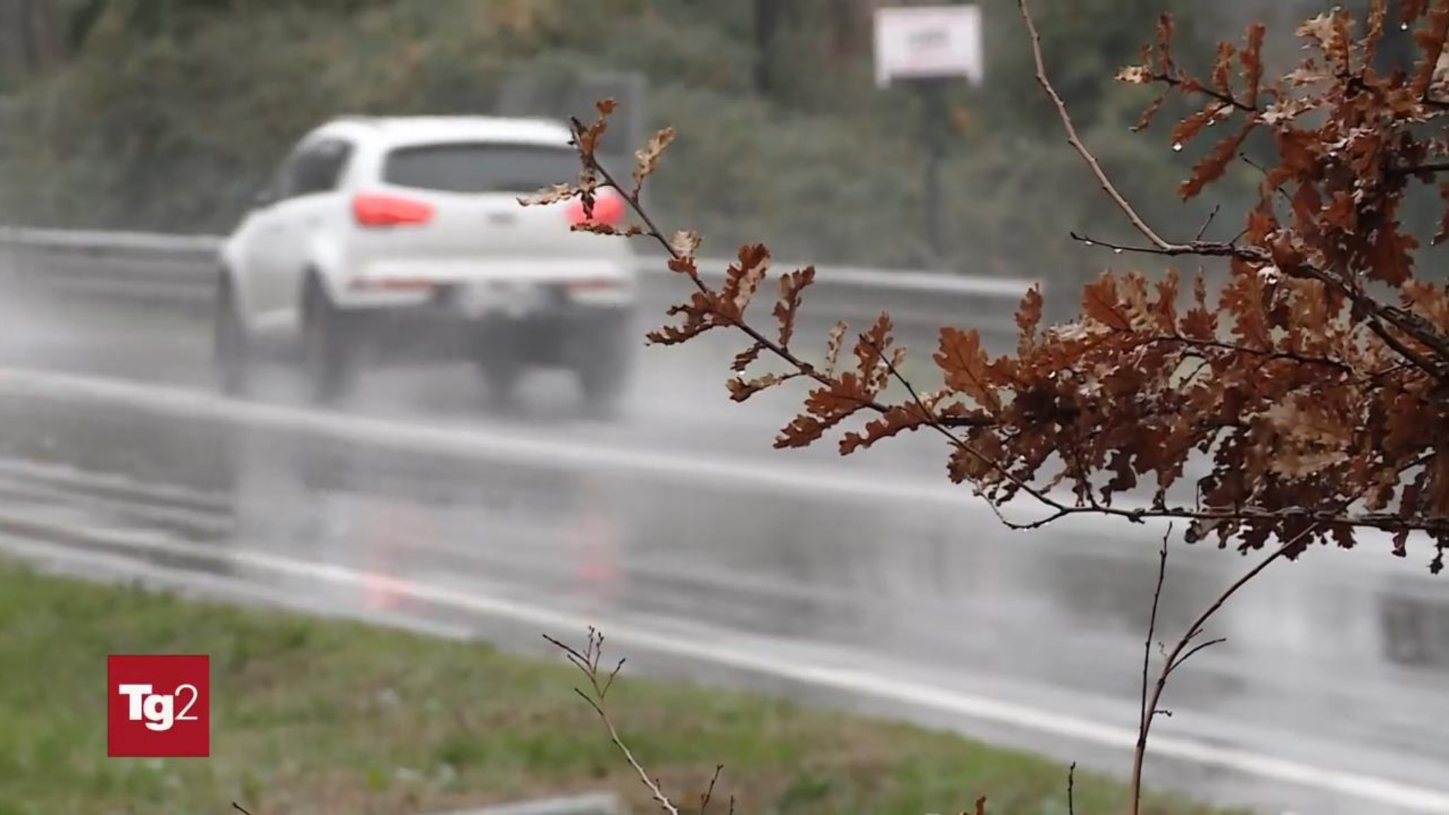 Si costituisce la pirata della strada che ha ucciso un uomo che gettava ...
