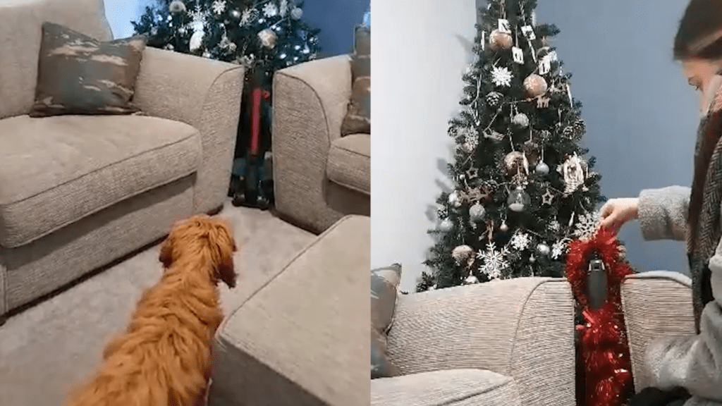 Dog owner finds ingenious way to keep puppy away from Christmas tree