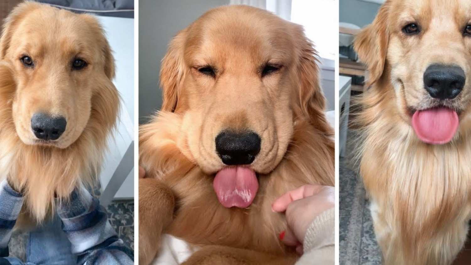 Normal is not an option