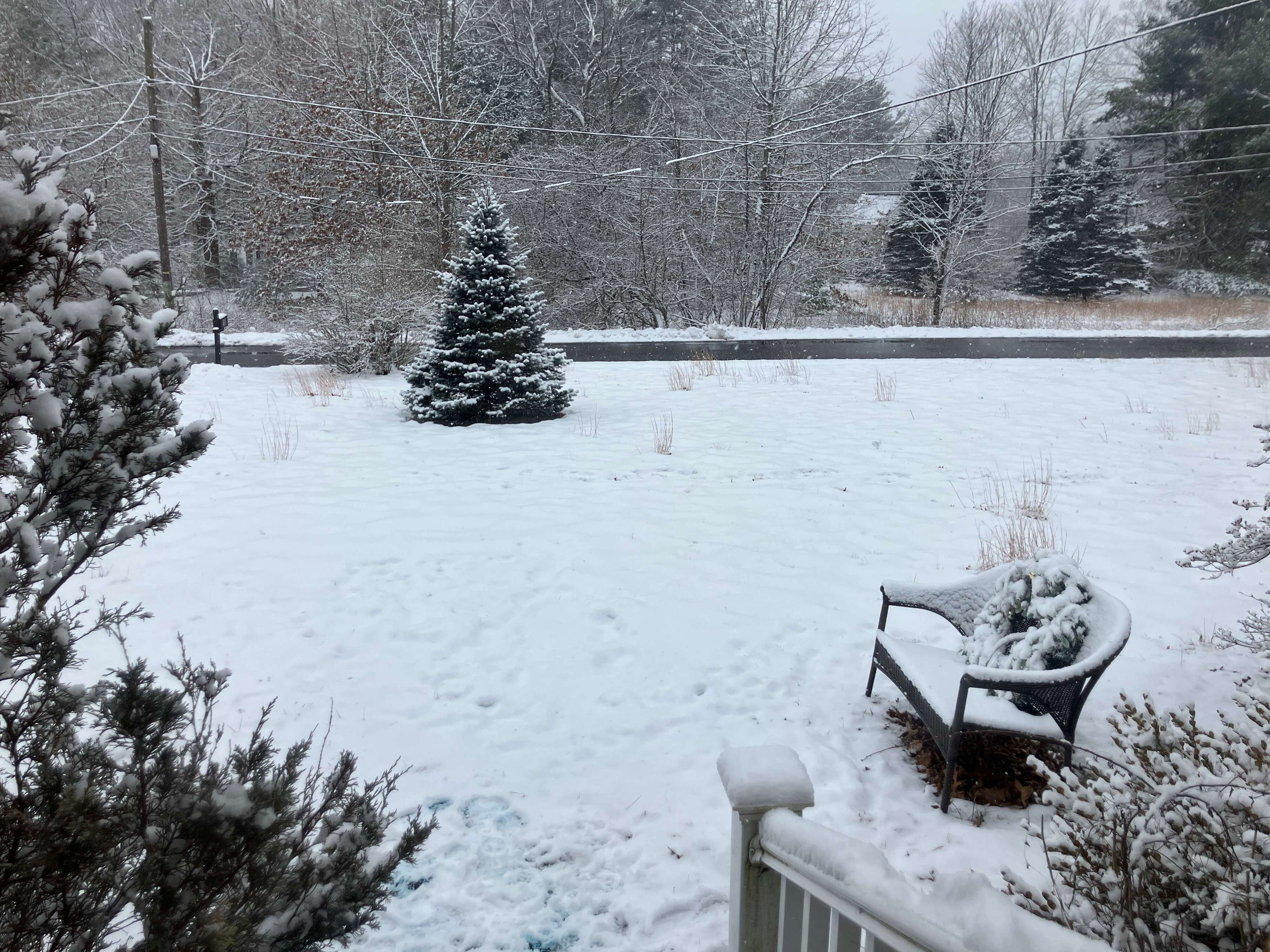 Mass. weather: A windy Christmas Day, with temps sinking at night