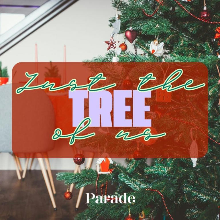 O Christmas tree! 60 Instagram captions that will bring joy and holiday ...