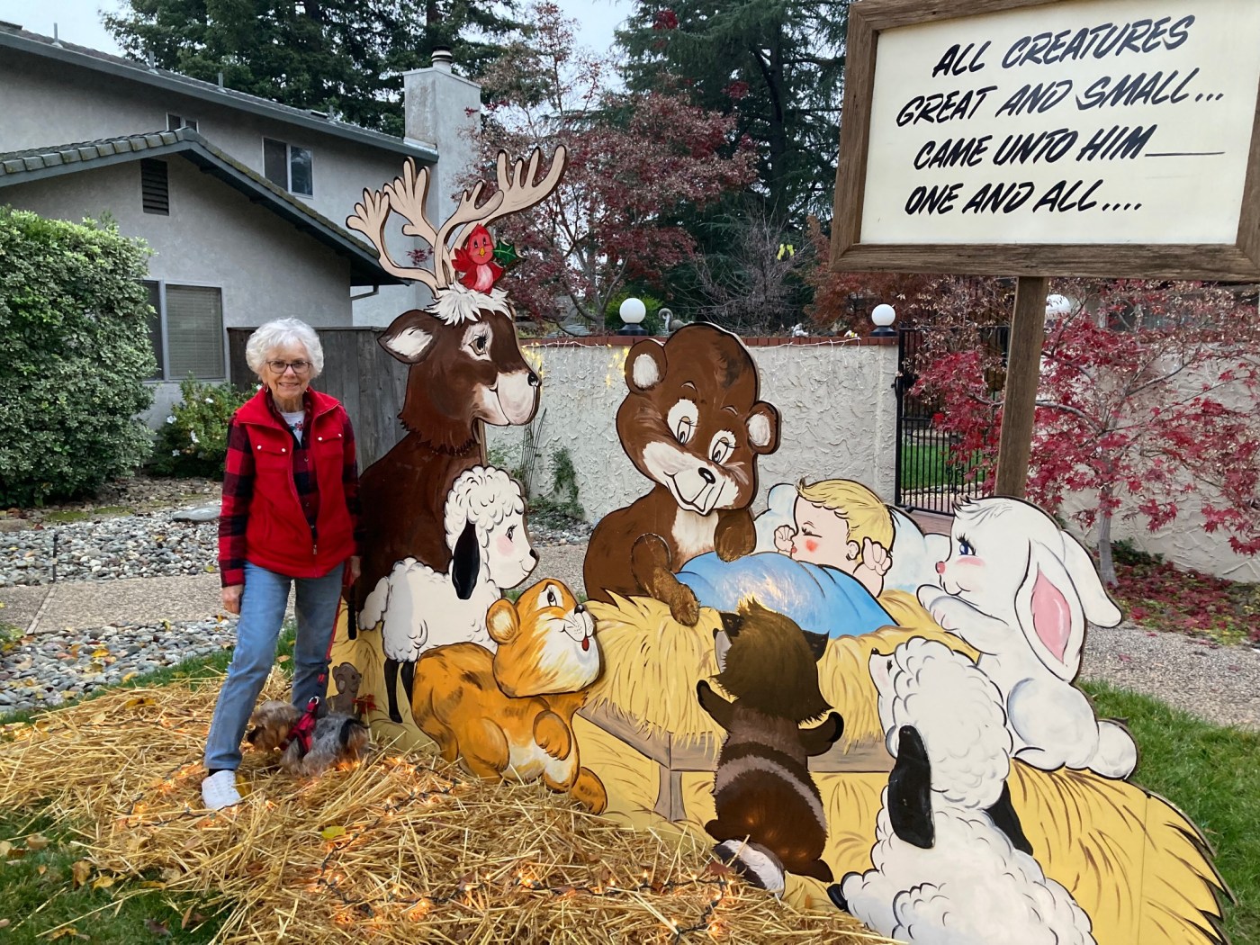 Annual Christmas lawn display softer this year