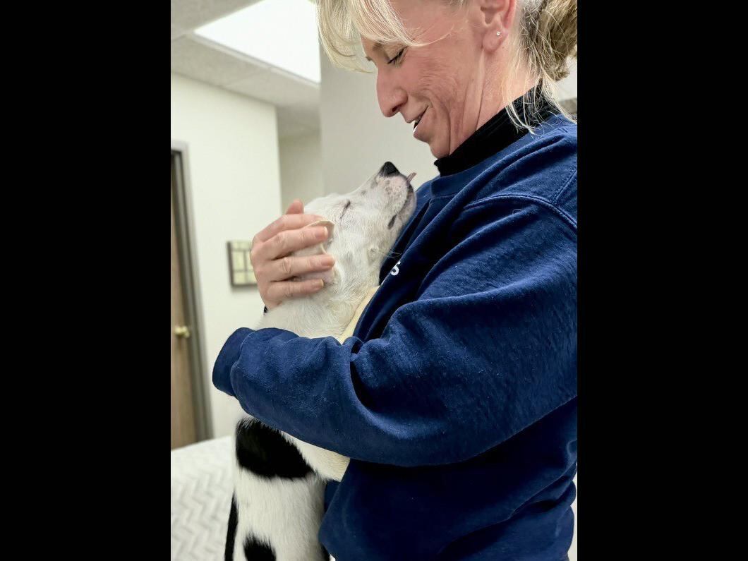 Retired Michigan state police officer joins Muskegon animal control team