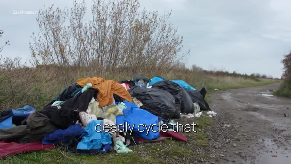 Zack Polanski uses Christmas speech to talk about migrant crisis in Calais