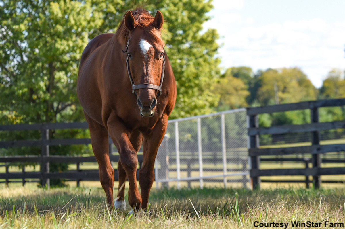 'We're blessed every day we have him': Catching up with 32-year-old ...