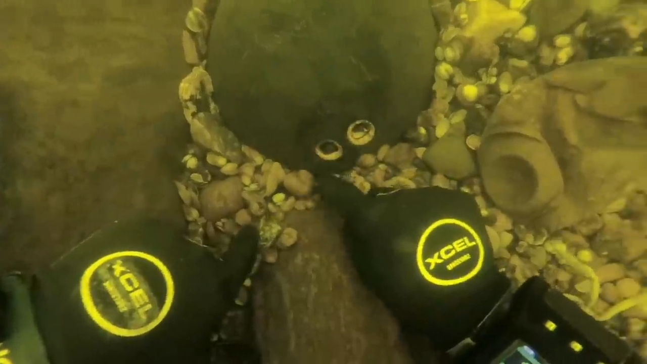 We pulled a police stun gun out of the river