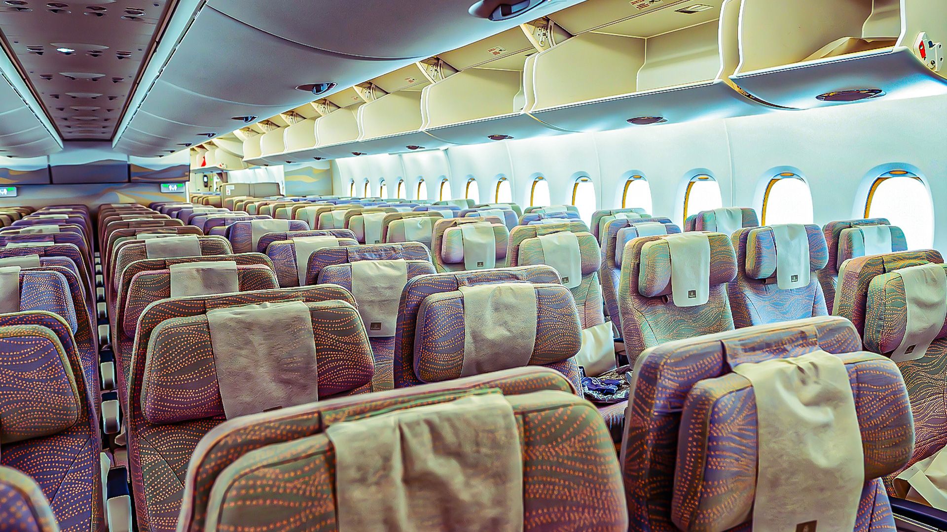 7 comfortable economy seats you can book today