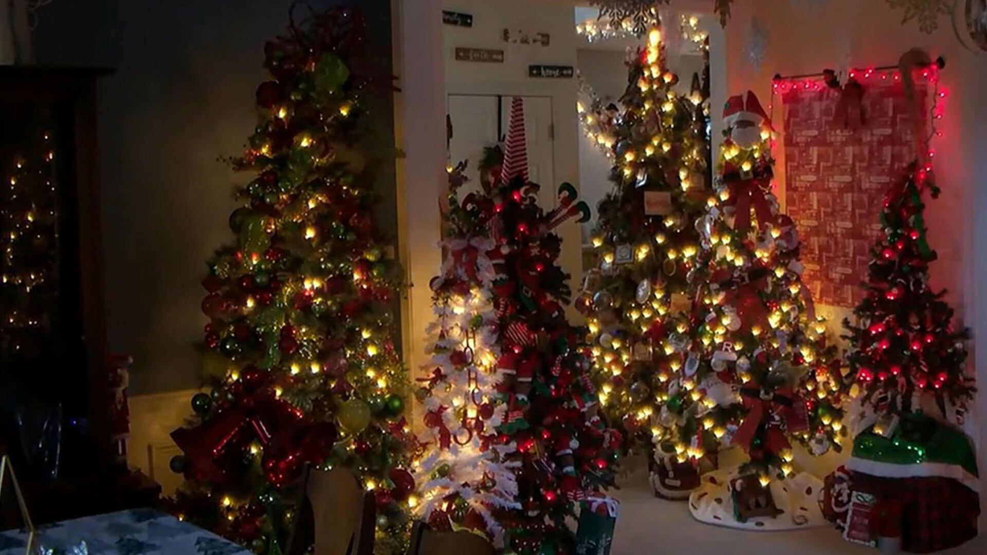 Ga. woman celebrates holidays with 66 Christmas trees in home